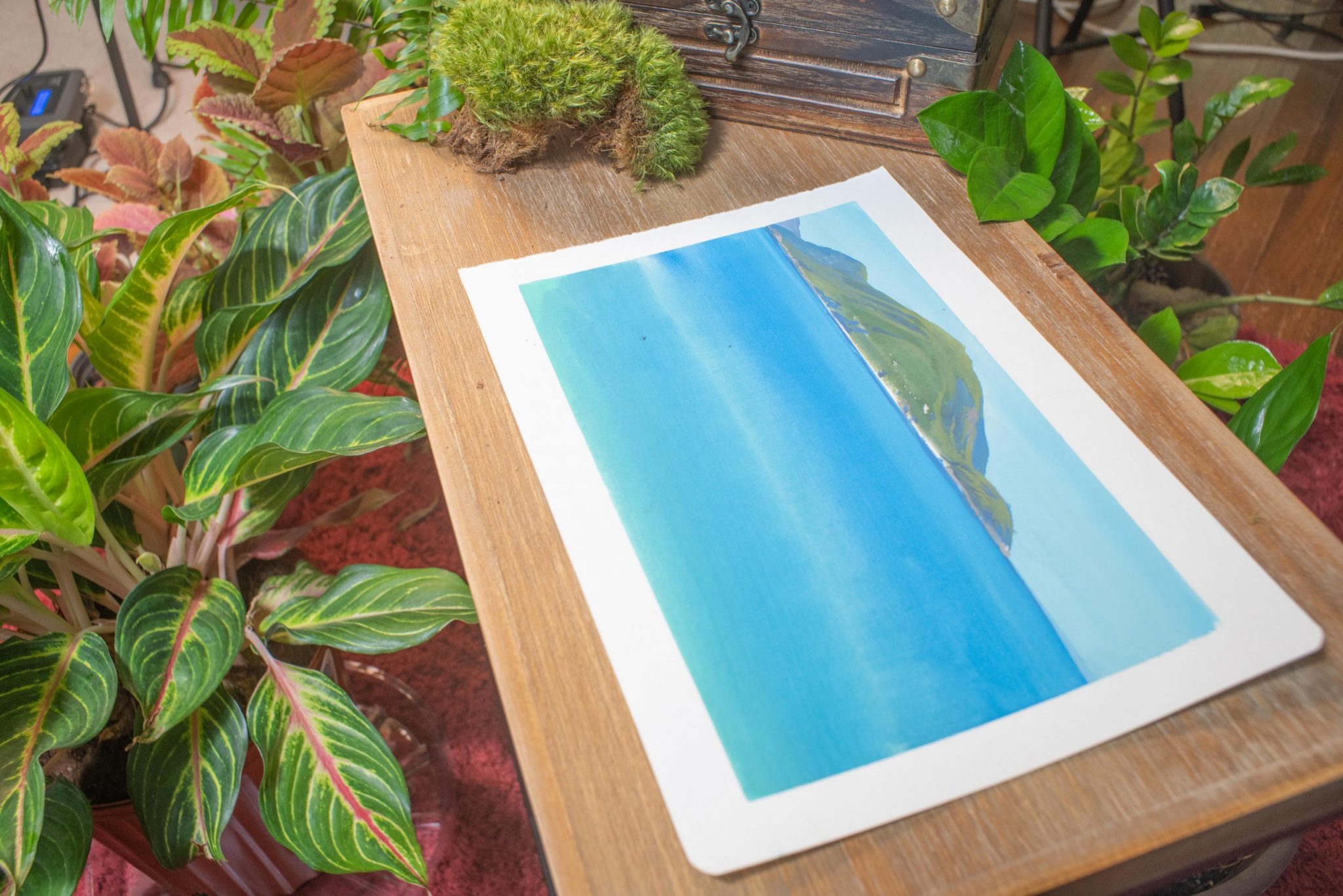 Island – Justin Donaldson