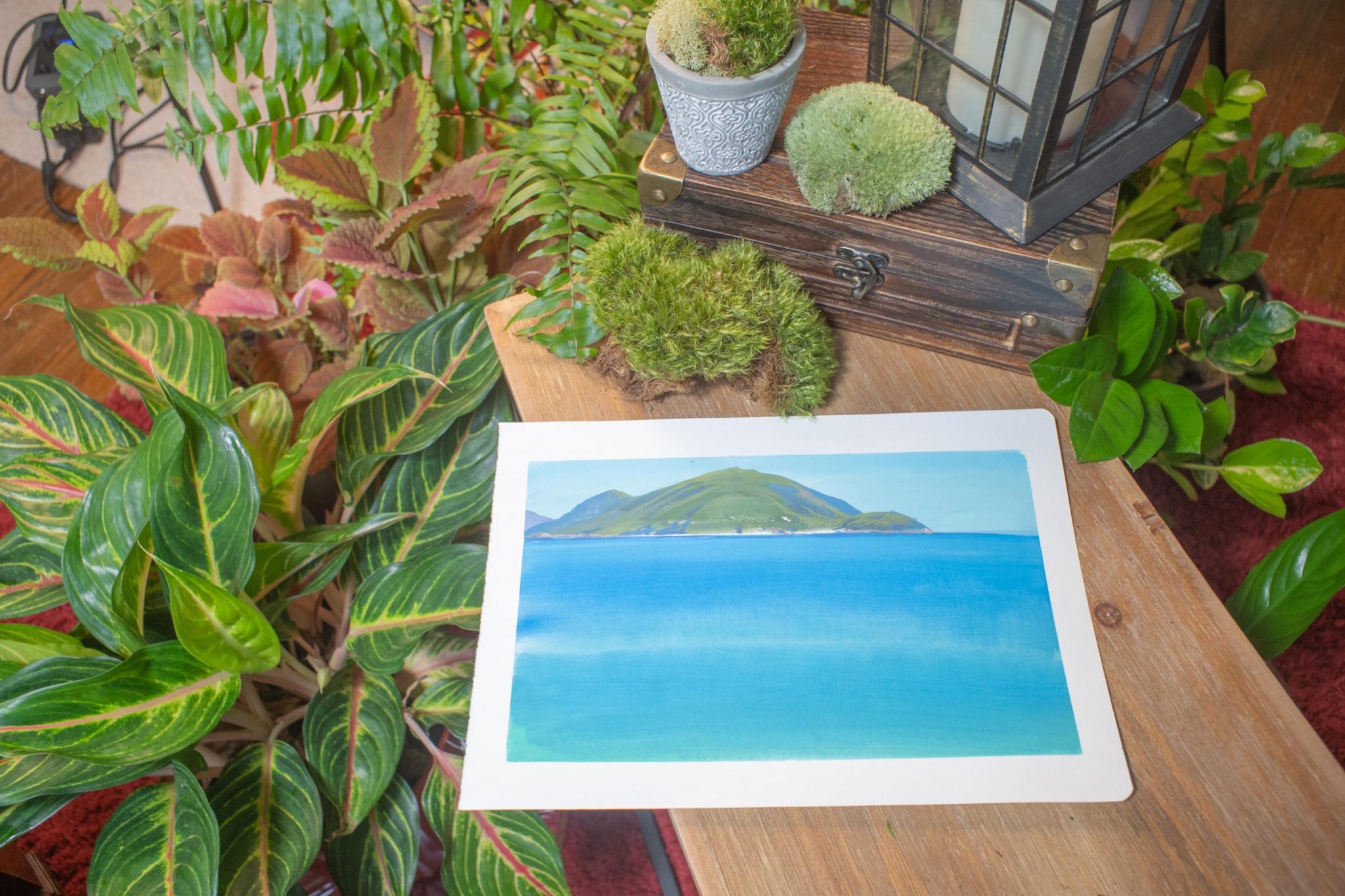 Island – Justin Donaldson