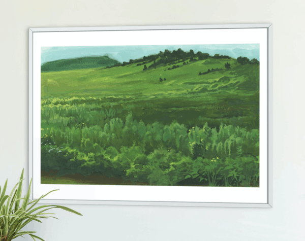 Grasses - Justin Donaldson